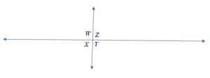Vertical Angles – Explanation & Examples