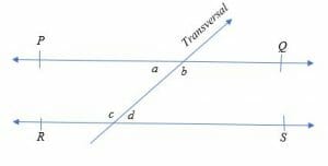 Alternate Interior Angles – Explanation & Examples