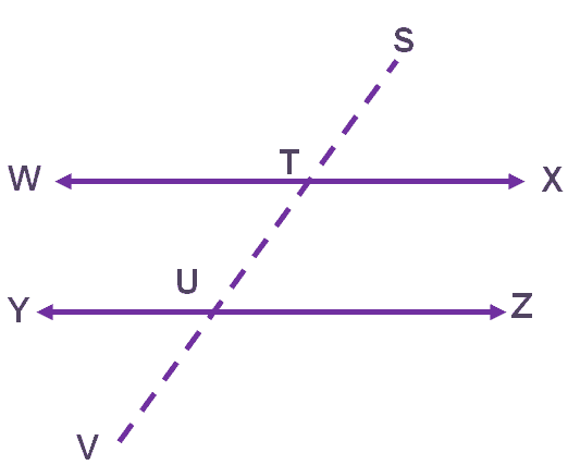 Parallel Lines - Definition, Properties, and Examples