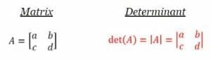 Determinant of a matrix - Explanation & Examples