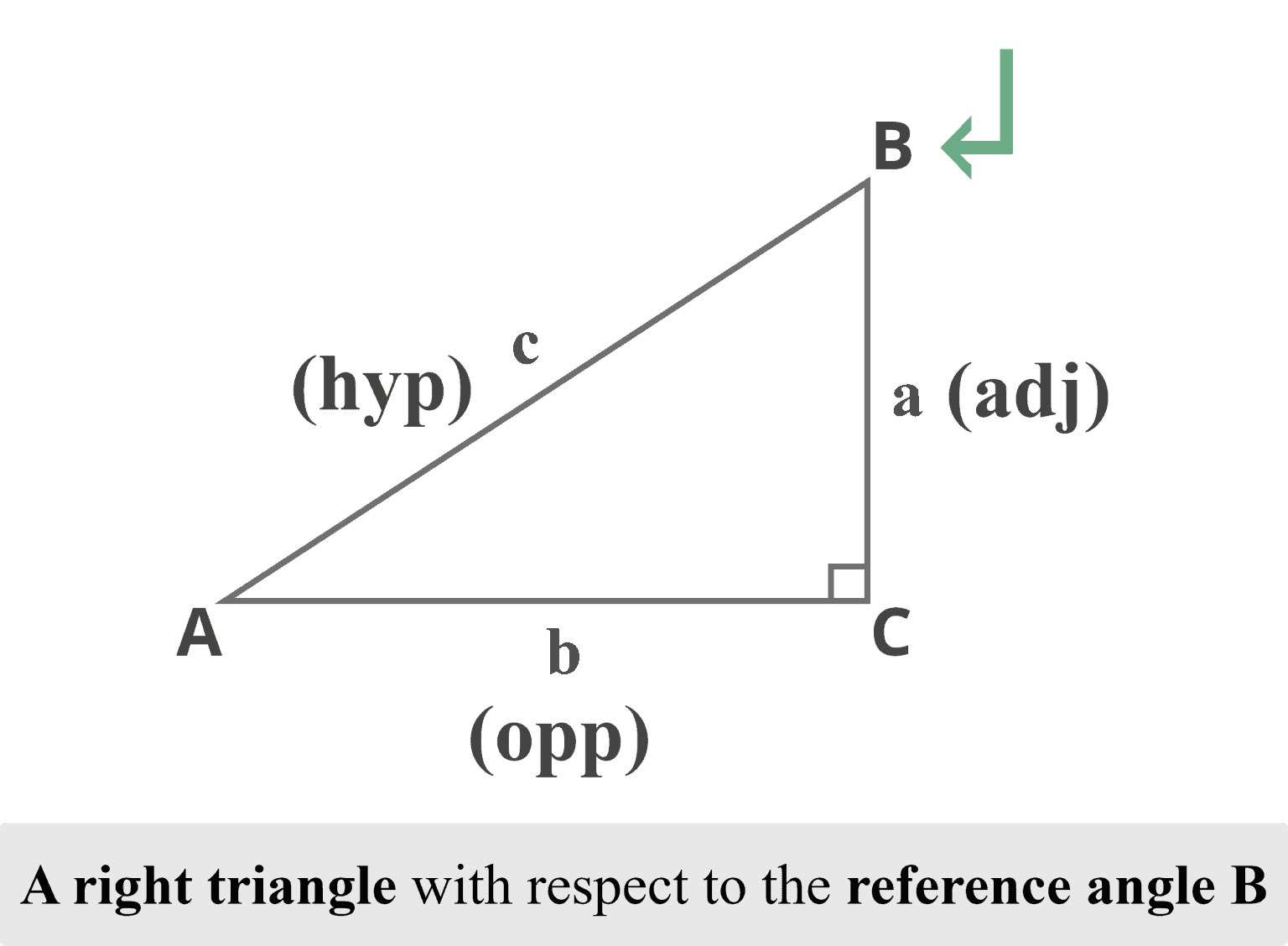Using the reference angle $B$, the side $b$ is the opposite, and the ...