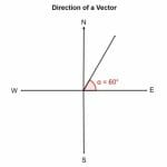 The Direction of A Vector (Explanation and Examples)