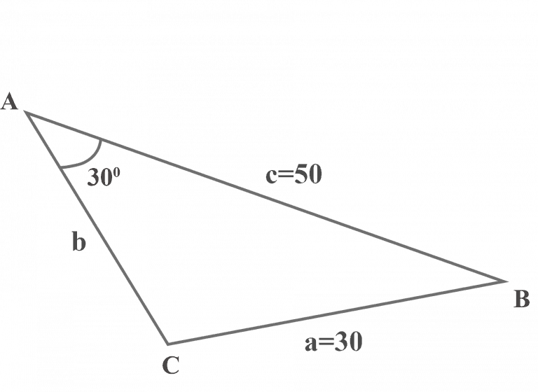 SSA Triangle - Explanation & Examples