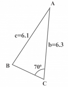 SSA Triangle - Explanation & Examples