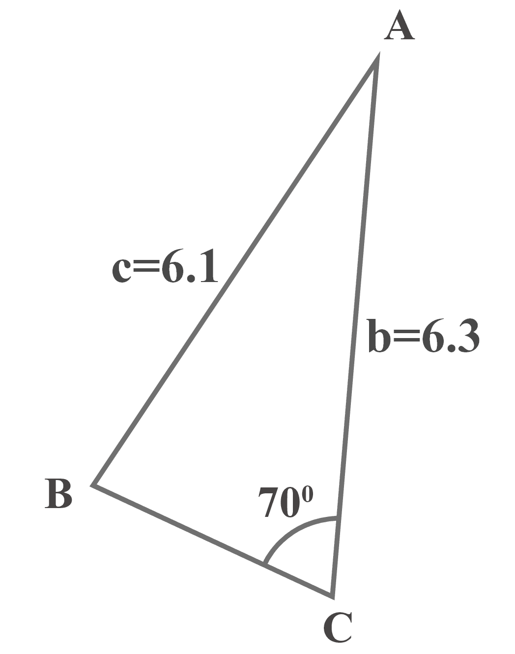 SSA Triangle - Explanation & Examples