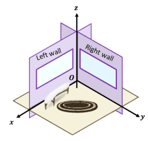 3d Coordinate System - Definition, Graphing Techniques, and Examples