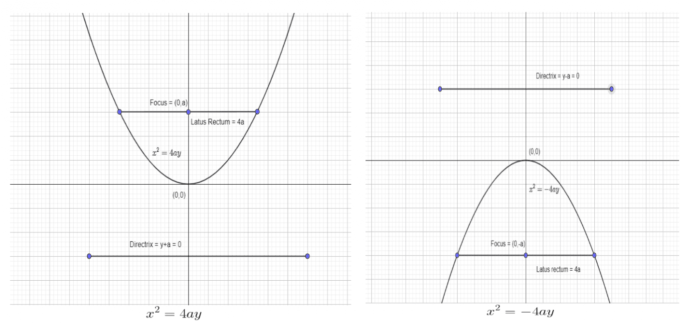 y = x^2: A Detailed Explanation Plus Examples - The Story of ...