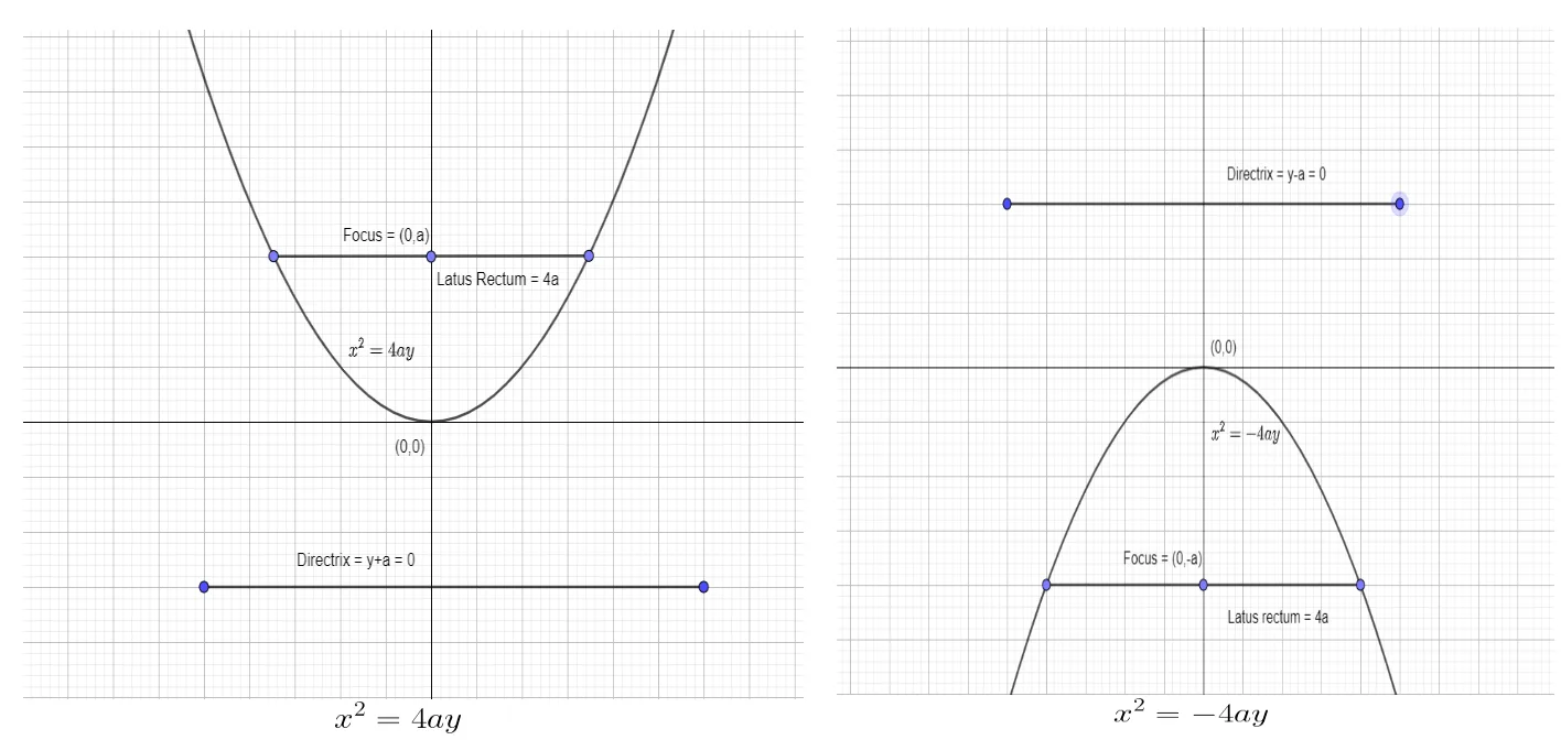 y = x^2: A Detailed Explanation Plus Examples - The Story of ...