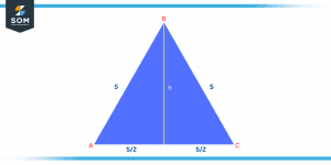 Equiangular Triangle | Definition & Meaning