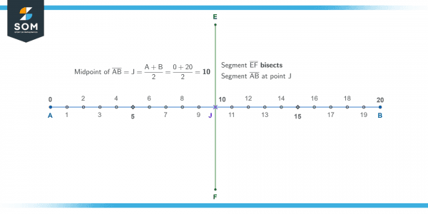 Bisect | Definition & Meaning
