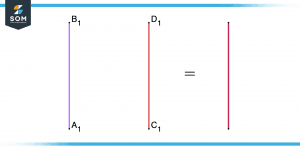 Figure 1 – An illustration of coincident lines. The color of line ...