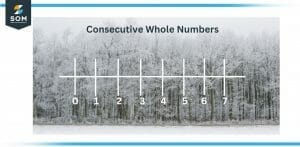 Consecutive Numbers | Definition & Meaning