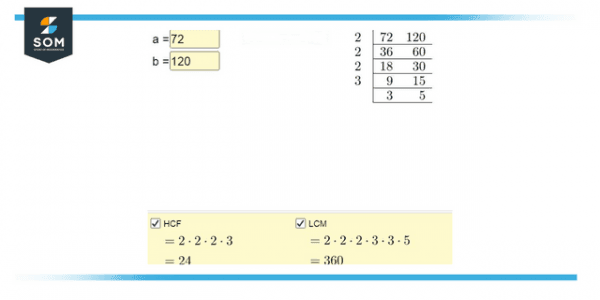 Decompose | Definition & Meaning