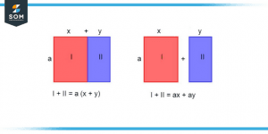 Distributive Law | Definition & Meaning