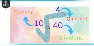 Dividend | Definition & Meaning