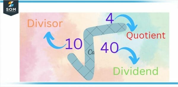 Dividend | Definition & Meaning