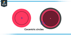 Concentric Circle | Definition & Meaning