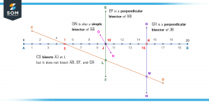 Bisect | Definition & Meaning