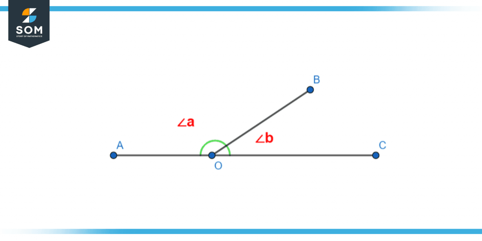 Adjacent Angles | Definition & Meaning