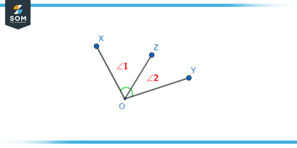 Adjacent Angles | Definition & Meaning