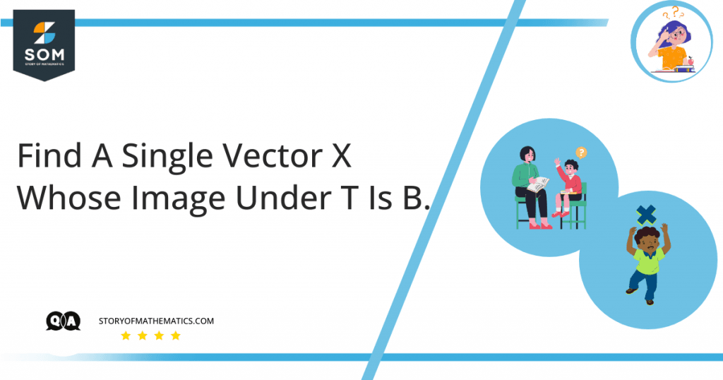 Find a single vector x whose image under t is b