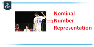 Nominal Number | Definition & Meaning