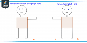 Horizontal Flip | Definition & Meaning