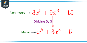 Monic Polynomial | Definition & Meaning
