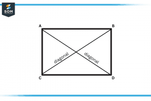 Rectangle | Definition & Meaning