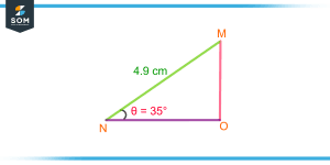 Opposite Side | Definition & Meaning