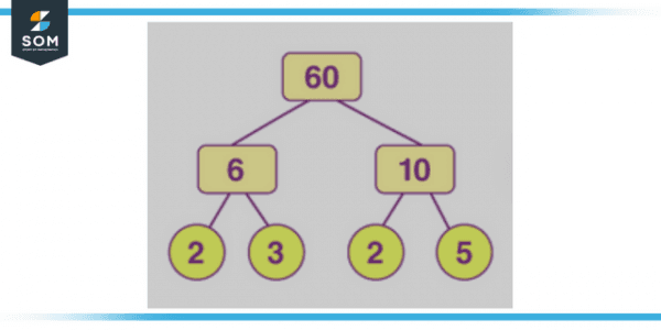 Prime Factor | Definition & Meaning