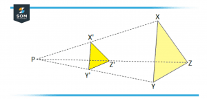 Reduce | Definition & Meaning