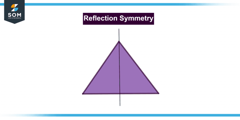 Reflection Symmetry | Definition & Meaning