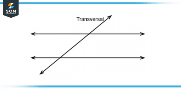 Transversal | Definition & Meaning
