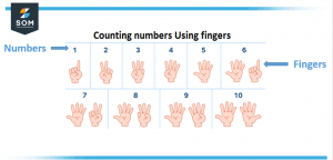 Counting Number | Definition & Meaning