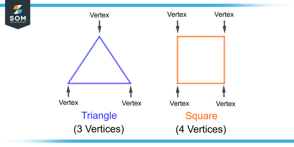 Vertices | Definition & Meaning Vertices | Definition & Meaning