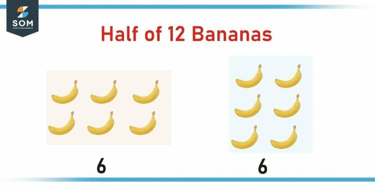 Half | Definition & Meaning