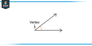 Vertices | Definition & Meaning