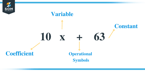 Algebraic Expression – Explanation & Examples