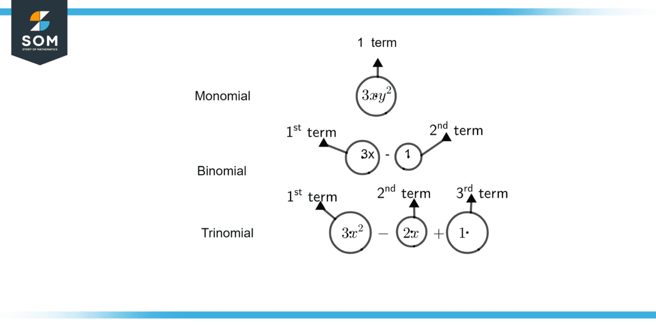 Binomial | Definition & Meaning
