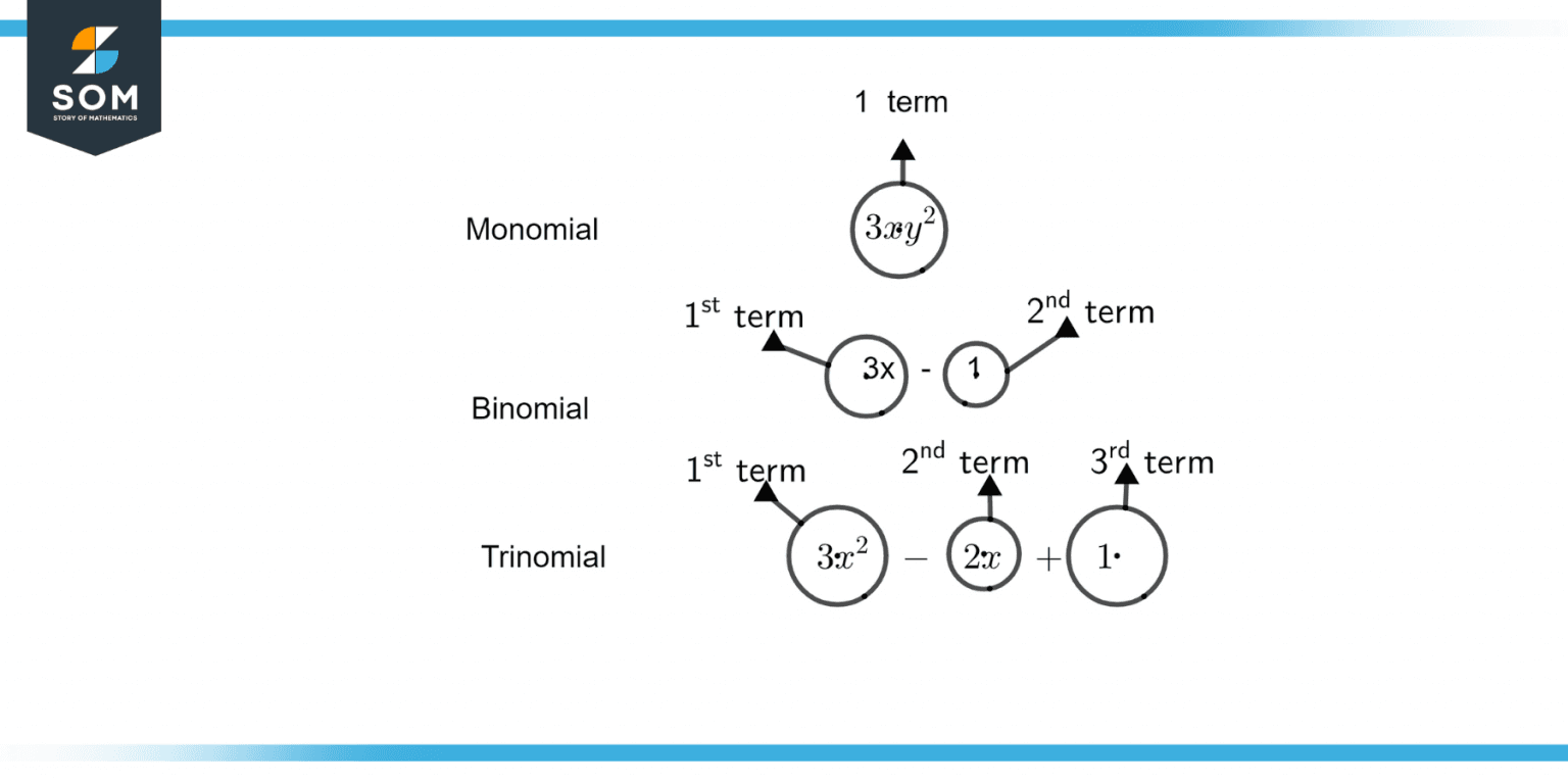 Binomial | Definition & Meaning