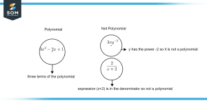Binomial | Definition & Meaning