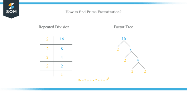 Prime Factorization – Explanation & Examples