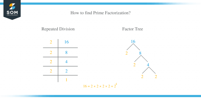 Prime Factorization – Explanation & Examples