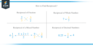 Reciprocals – Definition & Examples