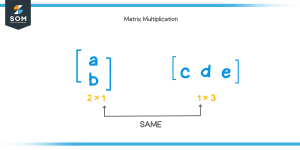 Matrices - Explanation & Examples