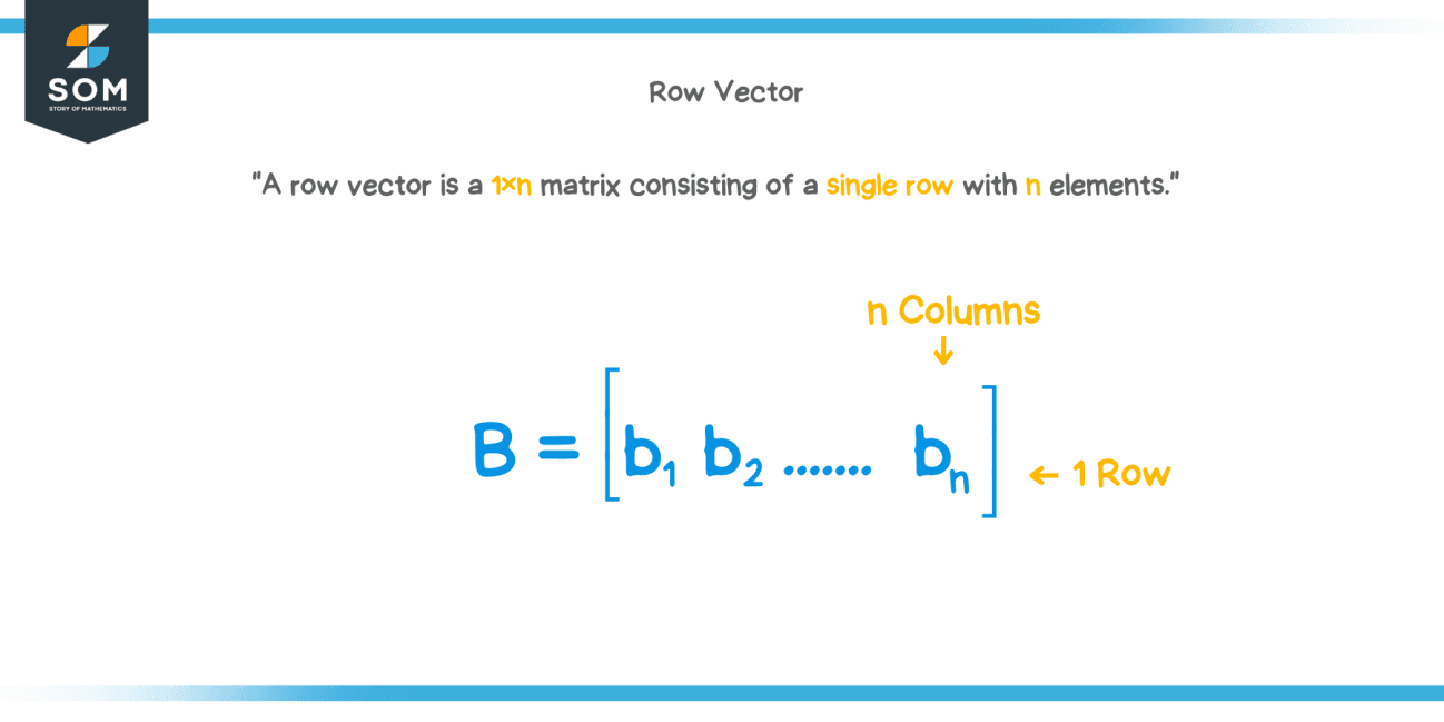 Row vector - Explanation & Examples