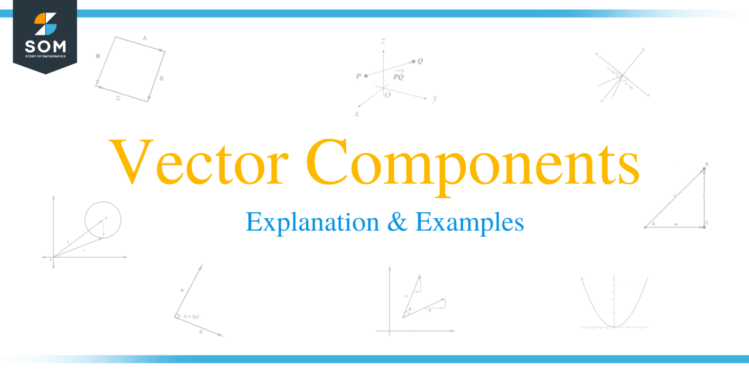 Vector Components (Everything You Need to Know)