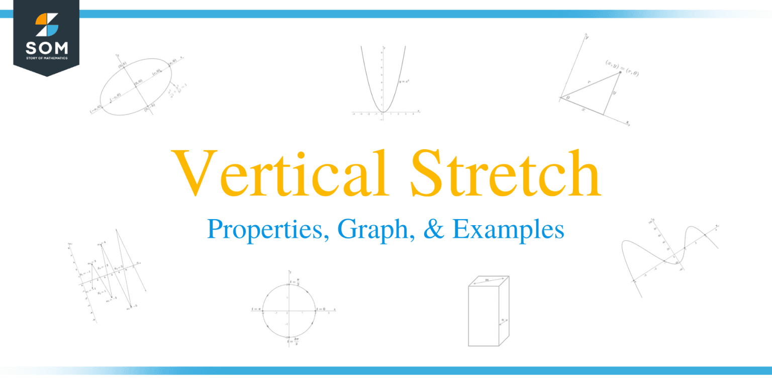 Vertical Stretch - Properties, Graph, & Examples