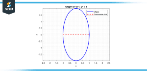 Exploring the Transverse Axis-Properties and Significance
